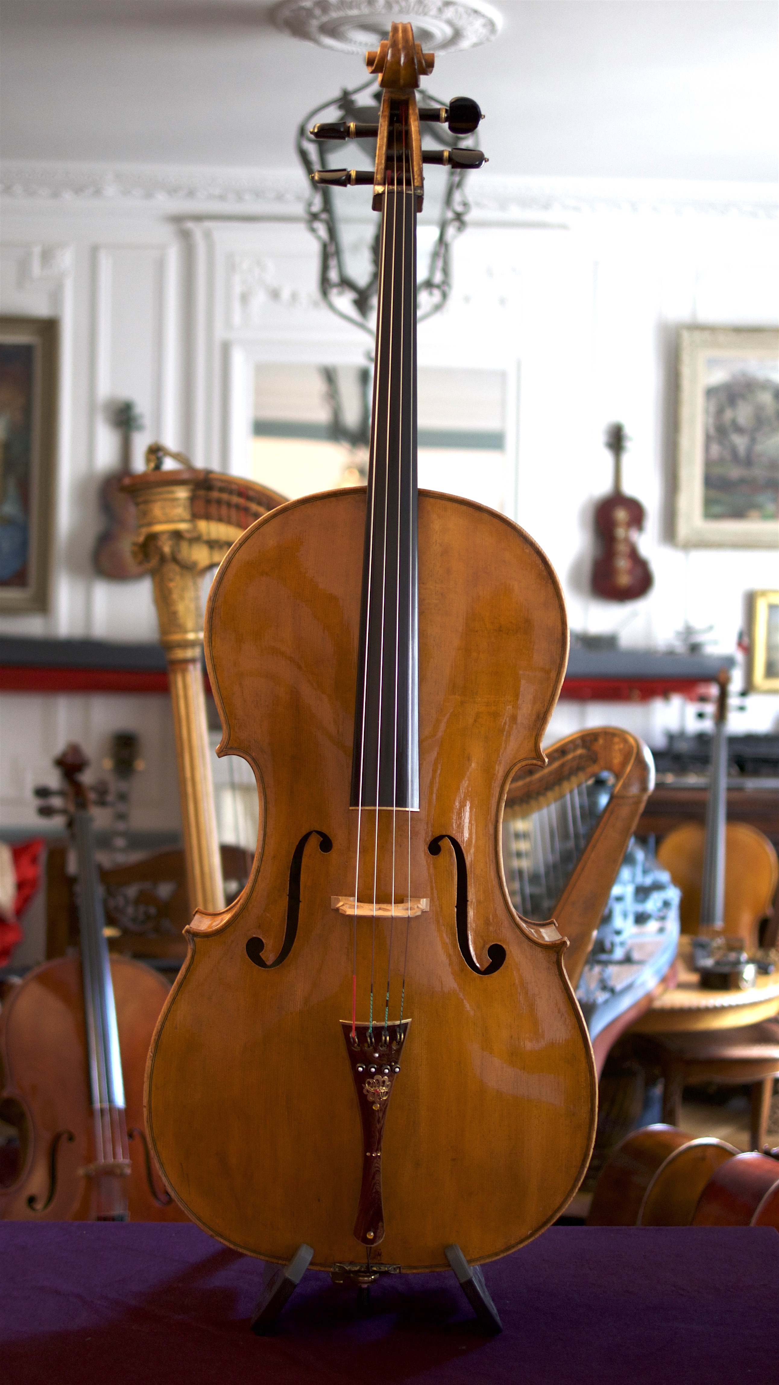 Cello-Luigi-Azzola-Face | Cello Collection in Paris