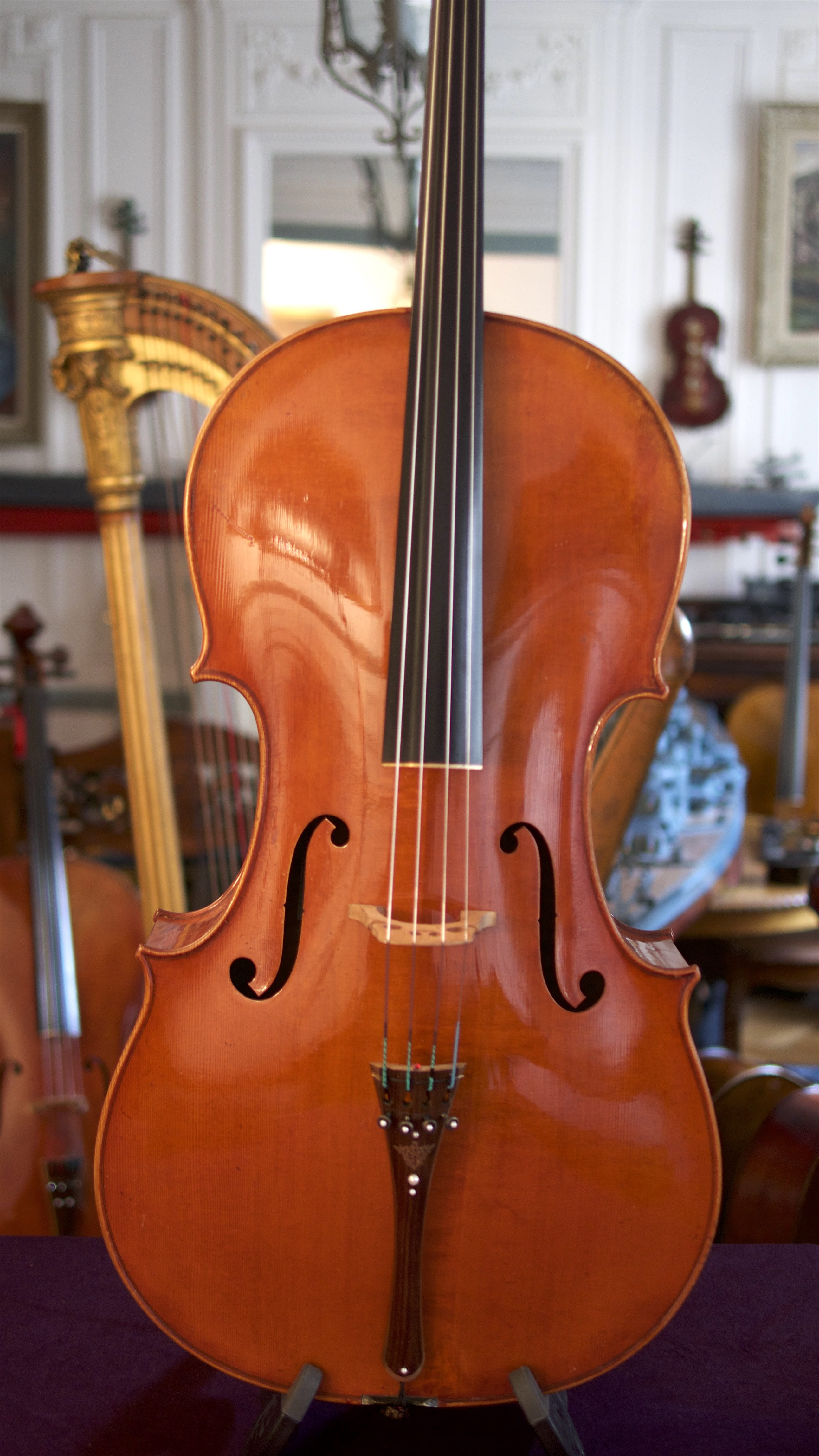 Cello-Riccardo-Genovese-Face | Cello Collection in Paris