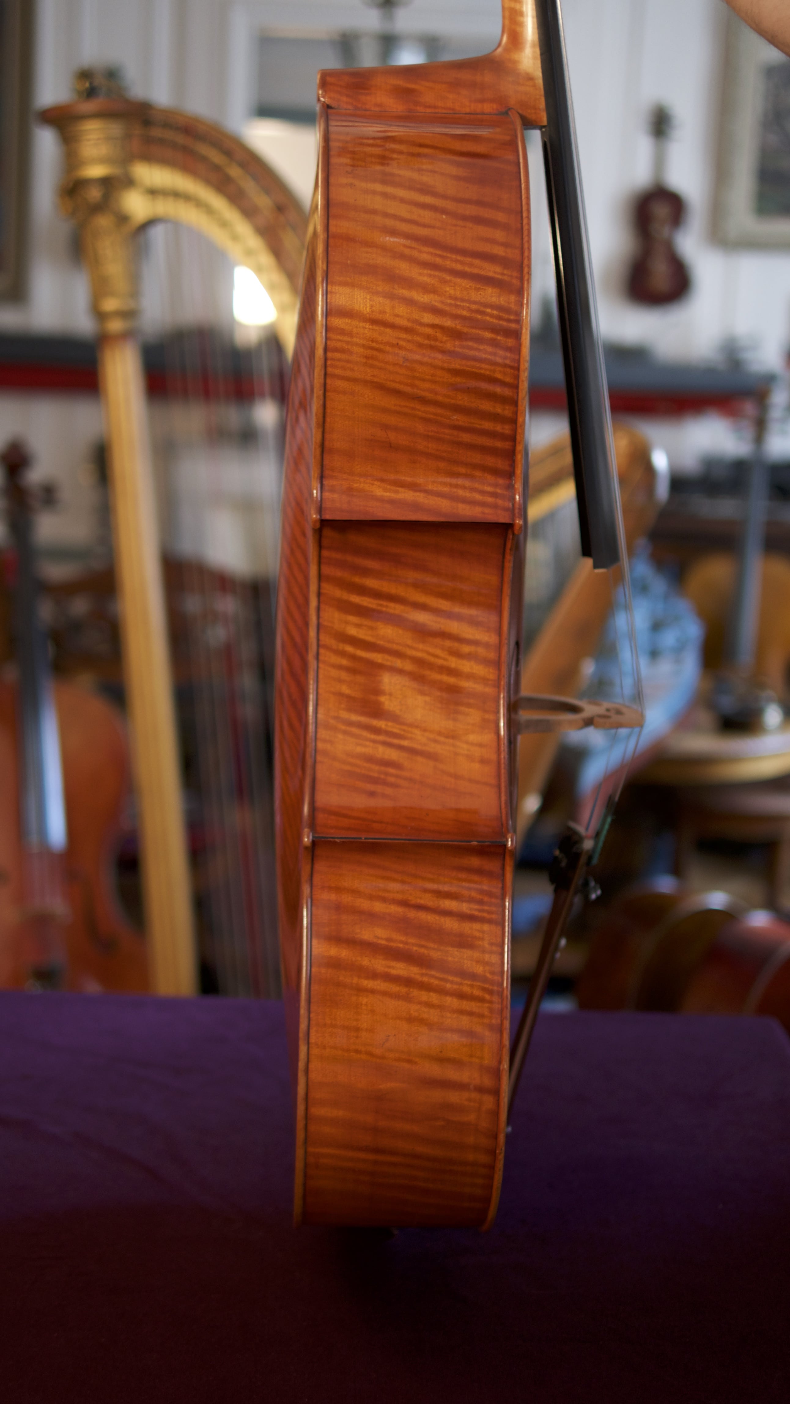 Cello-Riccardo-Genovese-side | Cello Collection in Paris