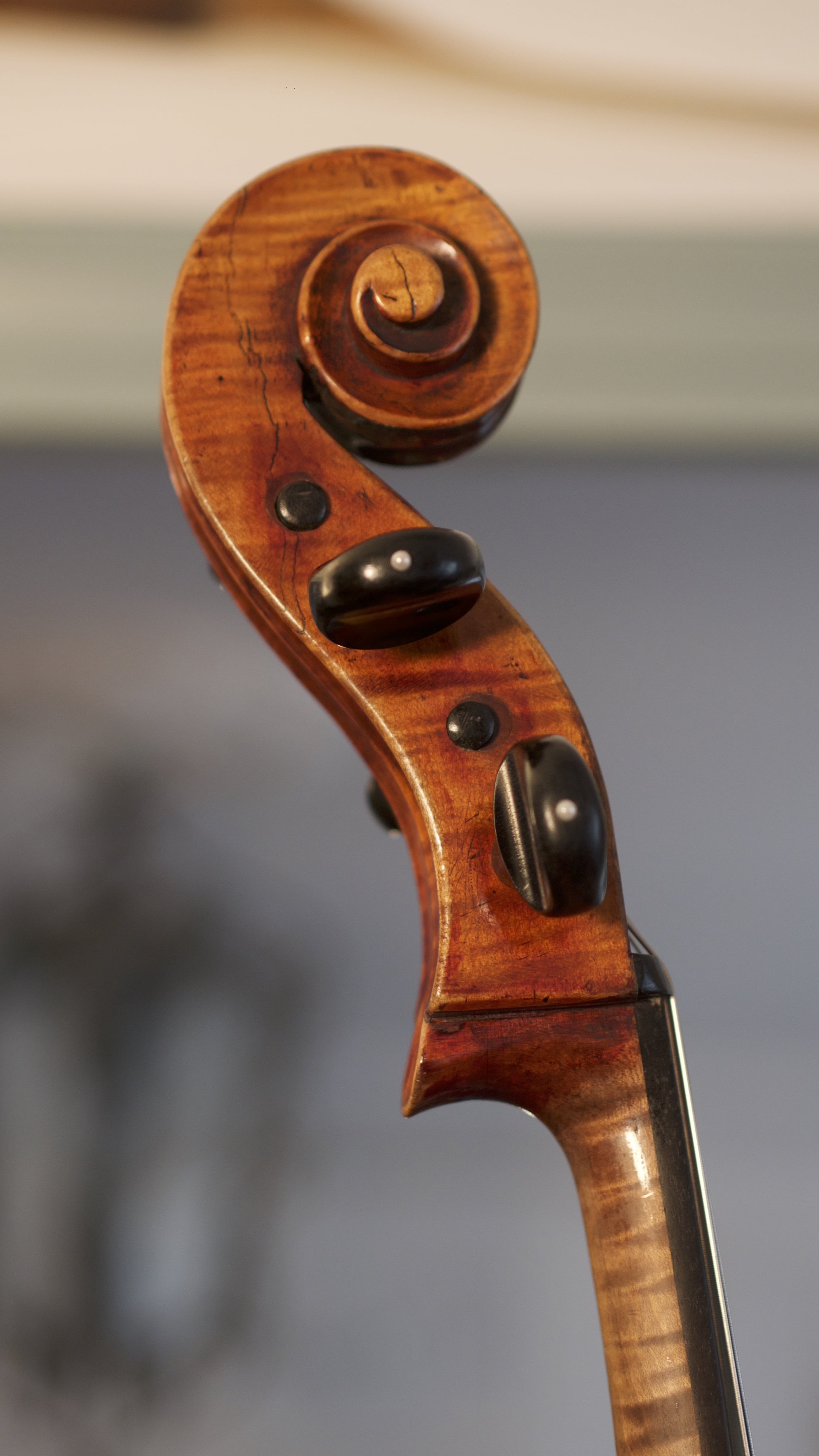 Cello-Rocca-head2 | Cello Collection in Paris