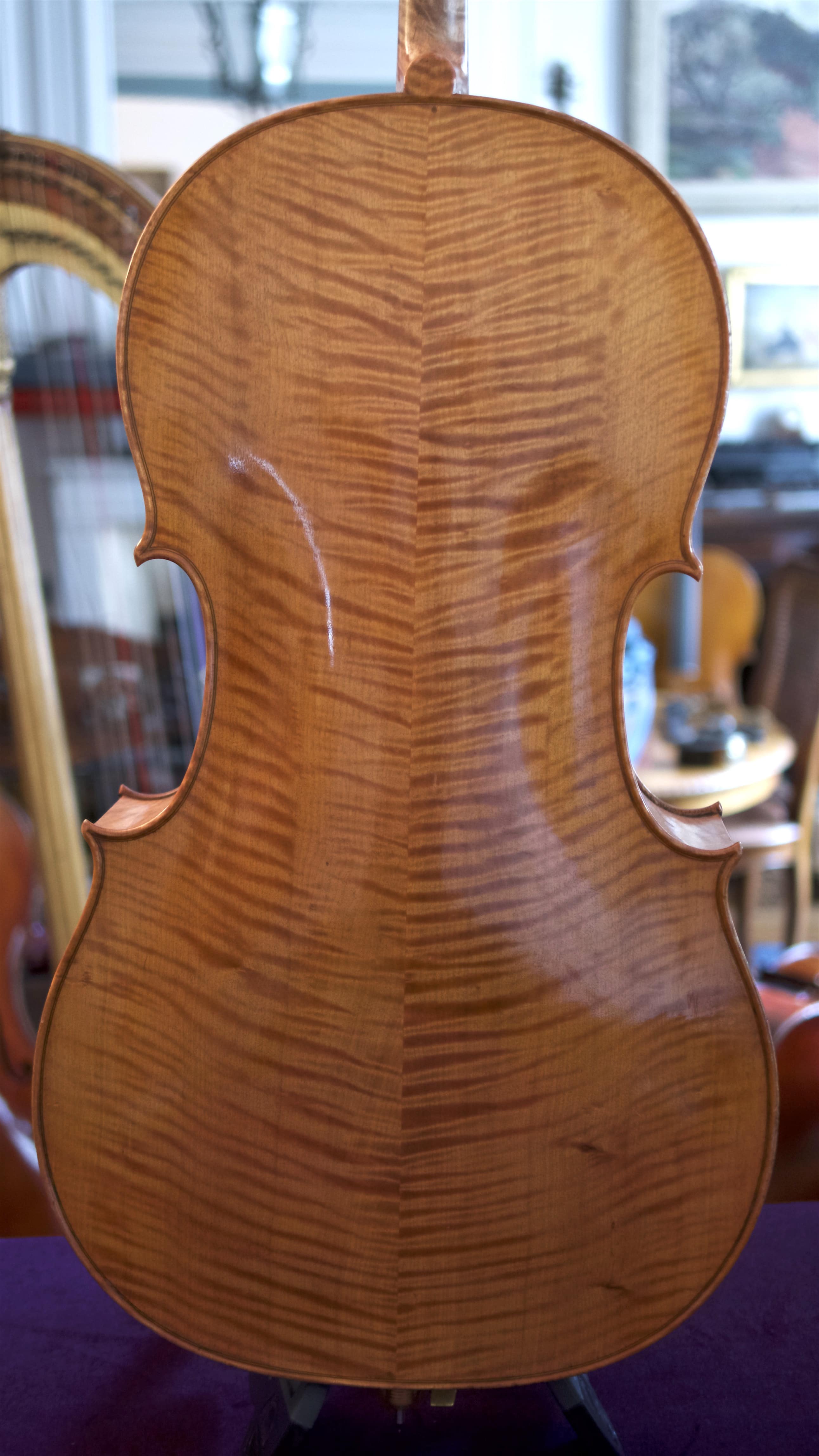 Cello-Romano-Clemente-Back | Cello Collection in Paris