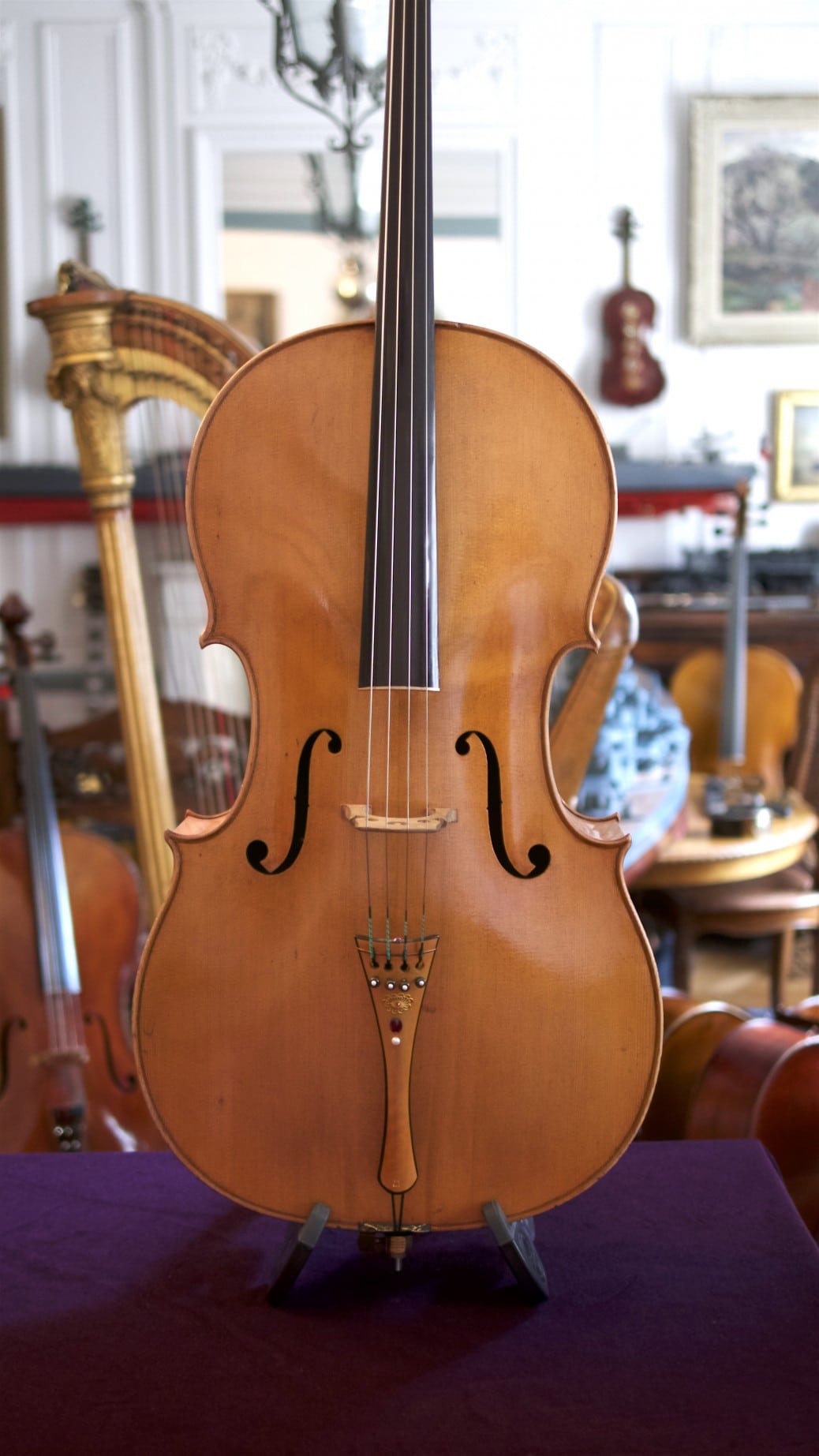 Cello-Romano-Clemente-Face | Cello Collection in Paris
