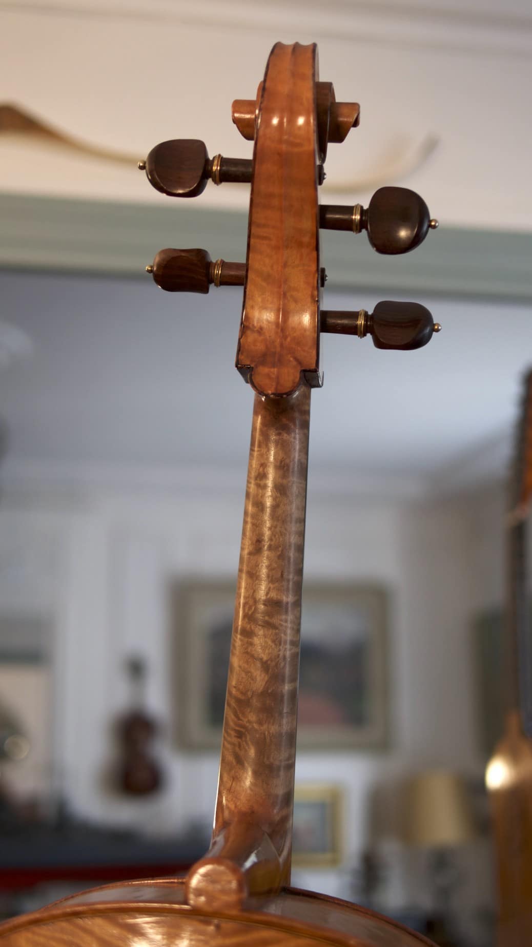 Cello-Romano-Clemente-Neck | Cello Collection in Paris