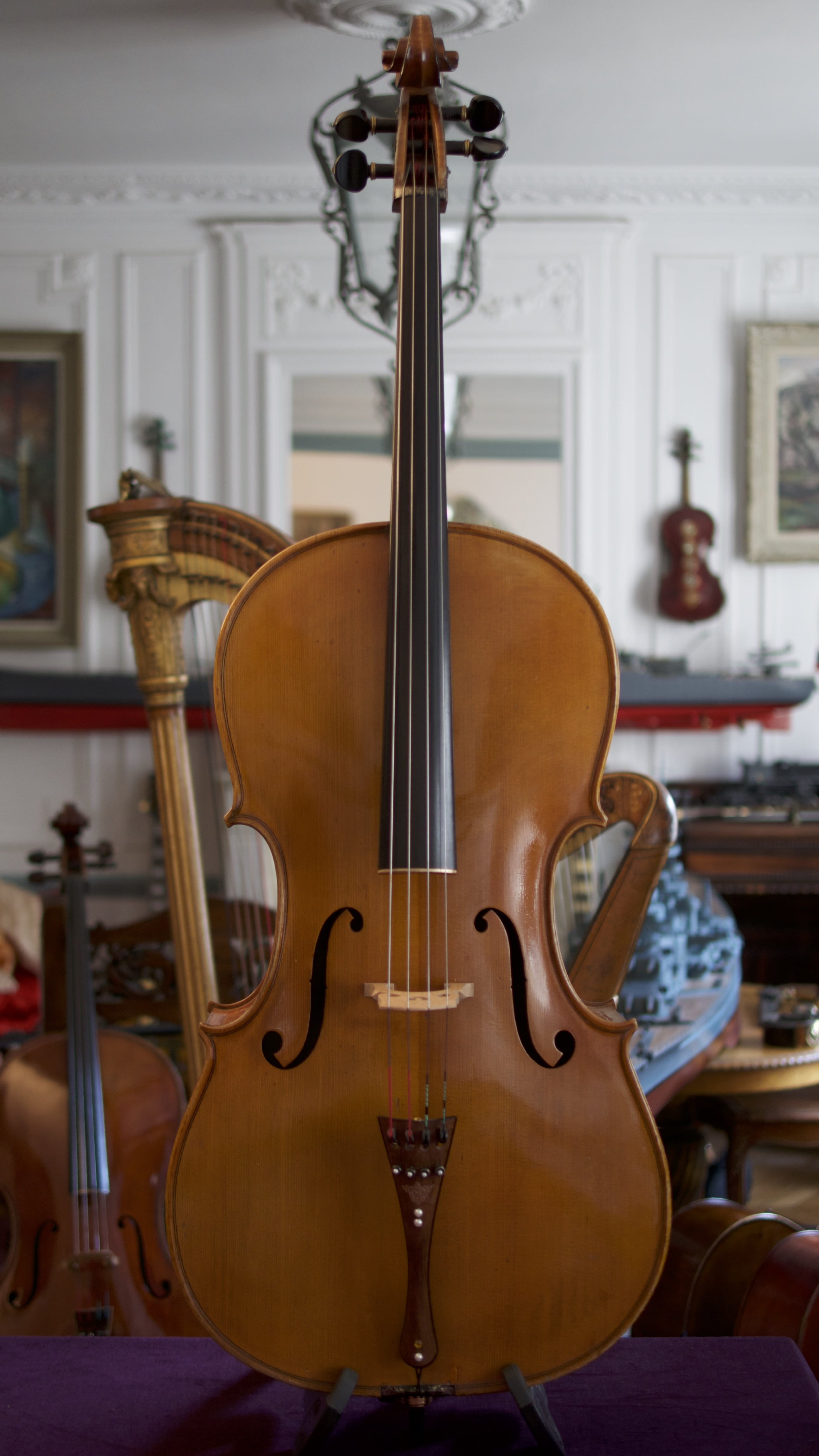 Cello-Stelio-Rossi-Face | Cello Collection in Paris